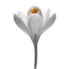 Neurosurgery | Life Healthcare