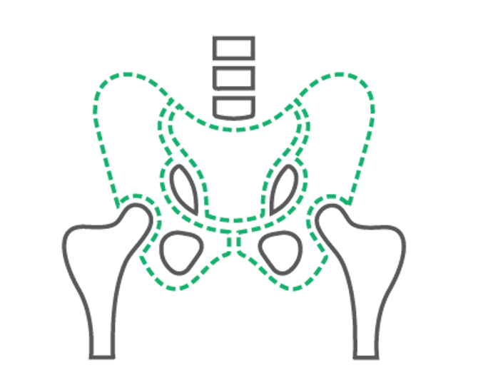 Abdo-Pelvic | Life Healthcare
